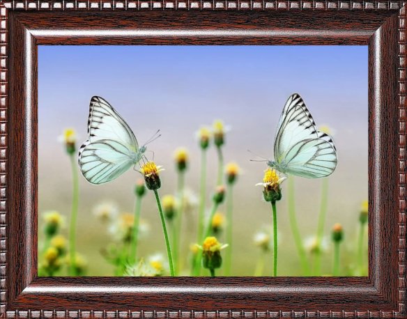 Picture Framing Do’s & Don’ts | Crafts Inspire Me