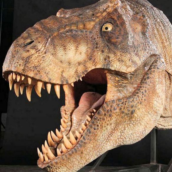 Tyrannosaurus Rex – The Original Mr. T | Crafts Inspire Me