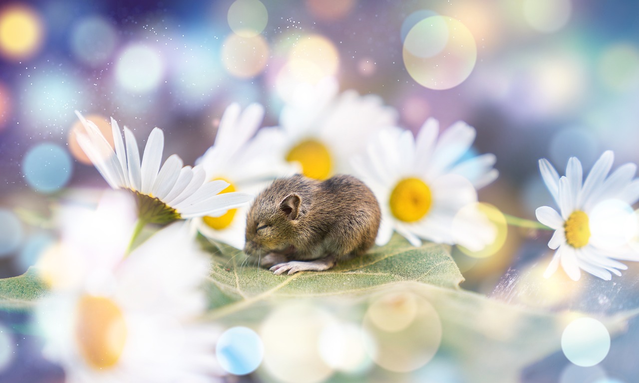 Springtime Babies | Crafts Inspire Me