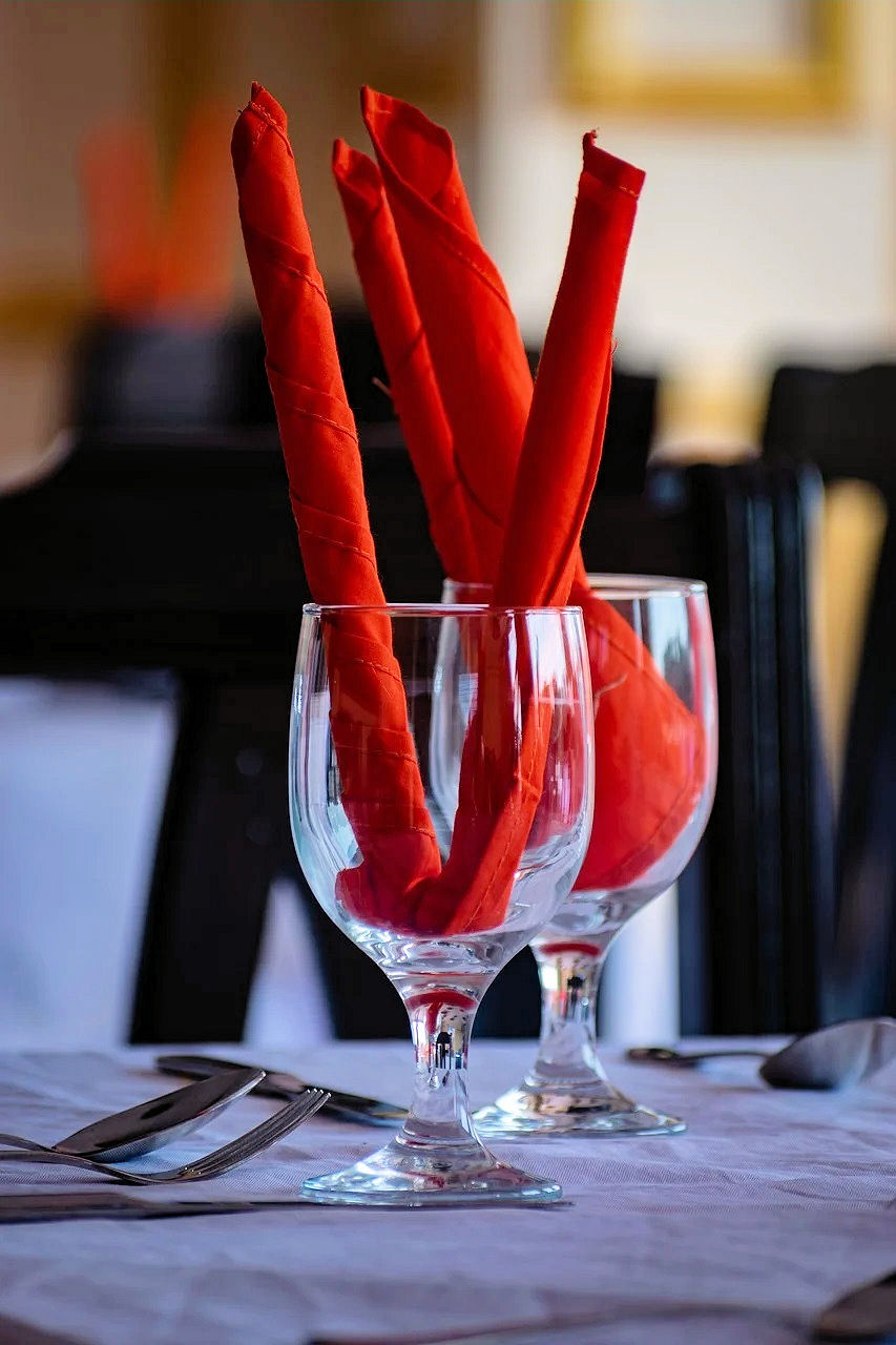 The Art of Napkin Folding | Crafts Inspire Me